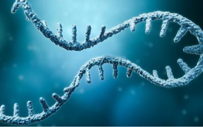 The Noncoding Regulators of the Brain | Duke Institute for Brain Sciences